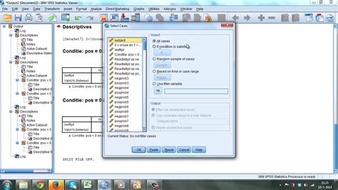 spss functies split file select cases youtube
