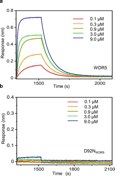 Biolayer Interferometry Bli Sensorgrams Of Mll4win Wdr5 Download Scientific Diagram