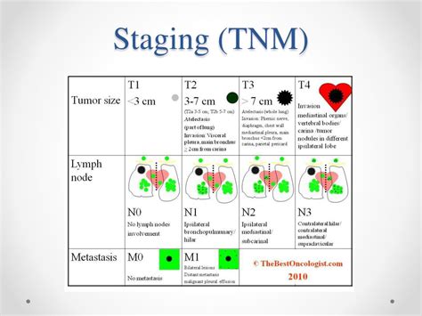 Ppt Lung Cancer Powerpoint Presentation Free Download Id2119549