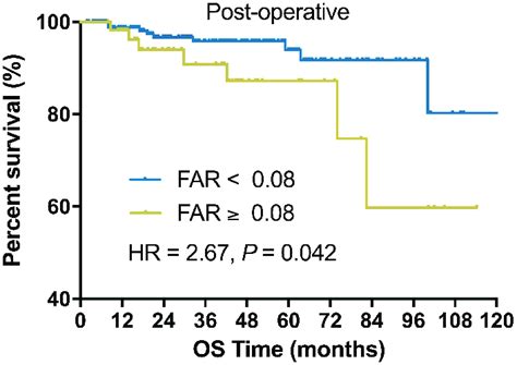 Kaplan Meier Plot Of Os For Patients Without Radical Surgical Resection