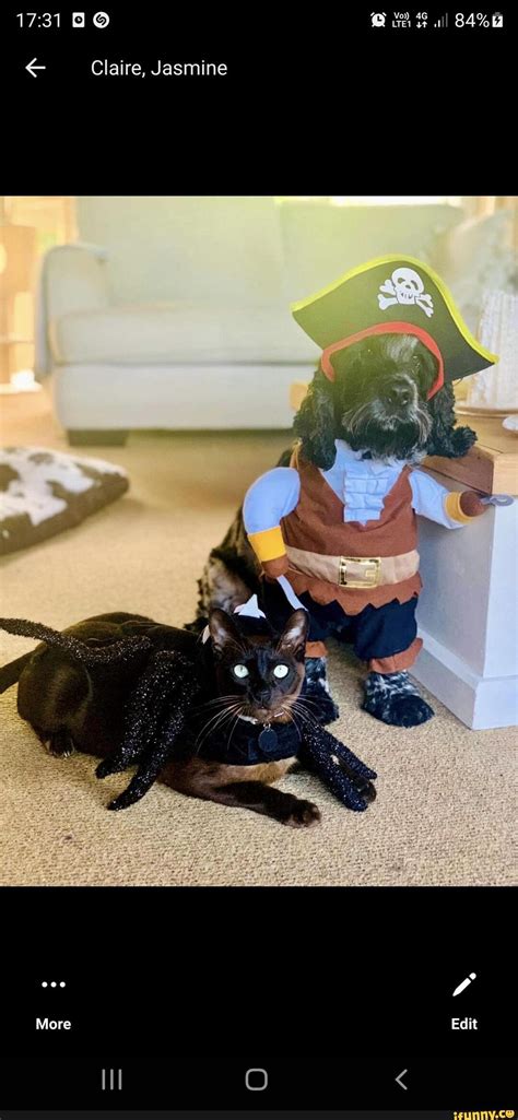 Claire Jasmine Edit More Ifunny