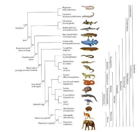 Solved Use Figure 1 2 From The Book To Answer The Following