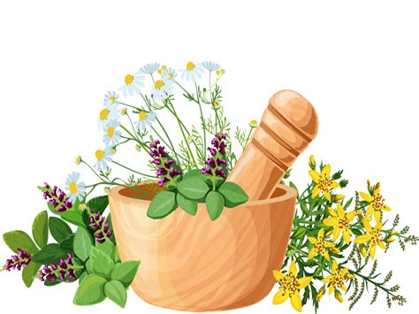 Home Holistic Health Education