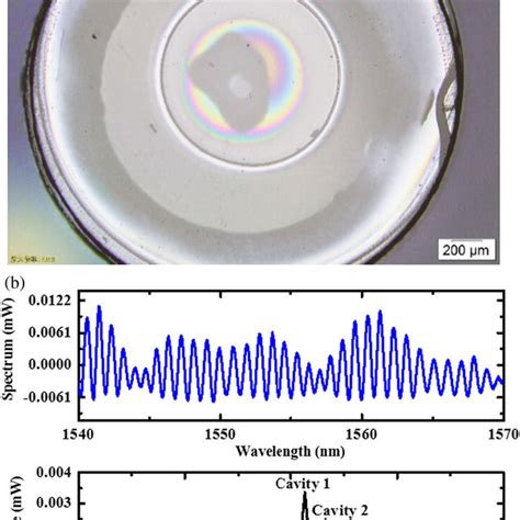 A Normalized Reflection Spectrum And B The Fft Spectrum Of The Download Scientific Diagram