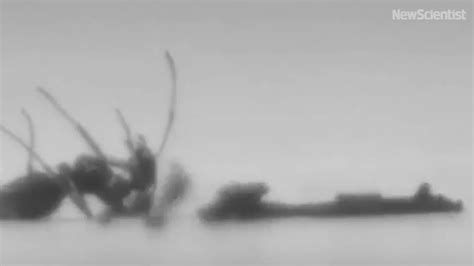 Hundreds Of Tiny Robots Guided By Magnetic Fields Can Coordinate To Act