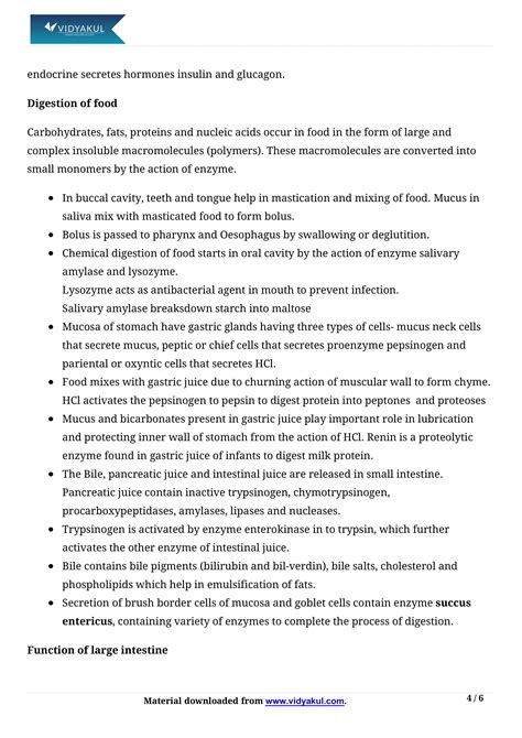 Digestion And Absorption Class Notes Vidyakul
