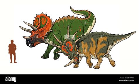 Triceratops Vs Styracosaurus