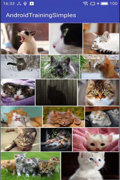 Android Flexboxlayout Recyclerview Goo