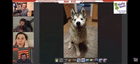 On a scale from 1-10, how much downs does Kyle’s dog have? : r/PKA