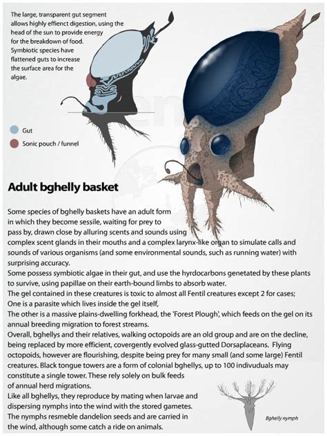 Pin On Xenobiology Exobiology