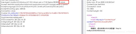 Ctf 网络信息安全攻防学习平台基础关zvvzexw Csdn博客 Ctf 网络信息安全攻防学习平台基础关zvvzexw Csdn博客