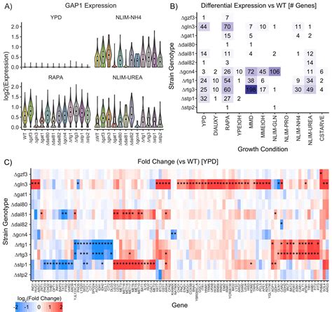 Gene Regulatory Network Reconstruction Using Single Cell Rna Sequencing Of Barcoded Genotypes In