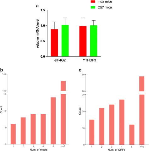 Identification Of Circrnas With Predicted Protein Coding Potential A Download Scientific