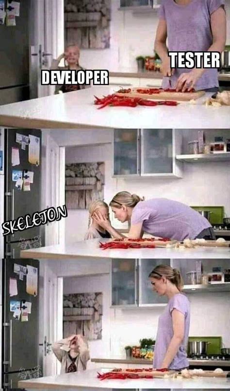 Tester And Developer Story Rprogrammerhumor