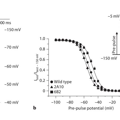 Sia And Polysia Regulate Voltage Dependent Inactivation Of Nav1 4 Download Scientific Diagram
