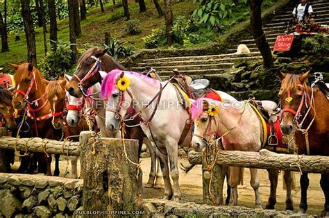 Mines View, Wright Park, and the Sunset at SM City Baguio – Ambot-ah! Travel Blog
