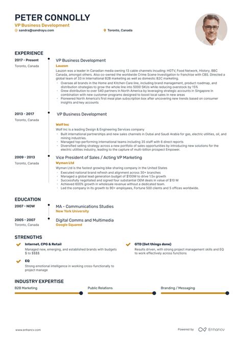 Vp Business Development Resume Examples Guide For