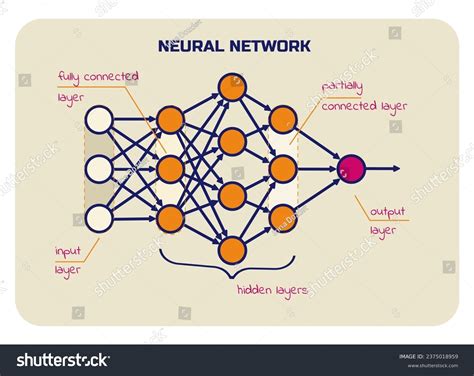 scheme neural networks signatures input hidden stock vector royalty