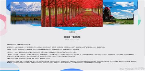 springboot vue新冠疫情信息统计系统【程序 论文 开题】计算机毕业设计 csdn博客