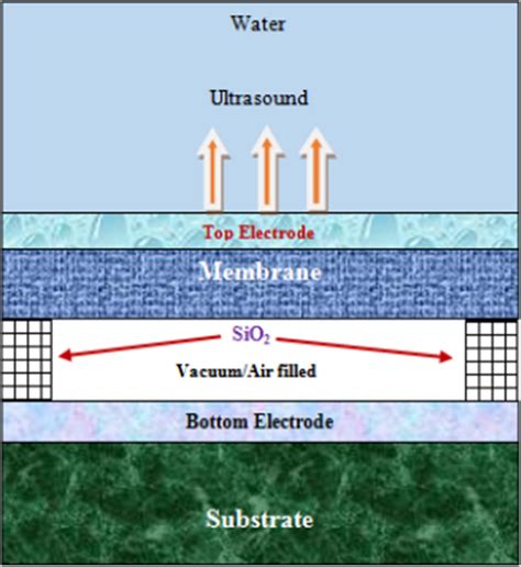 schematic illustration of cmut download scientific diagram