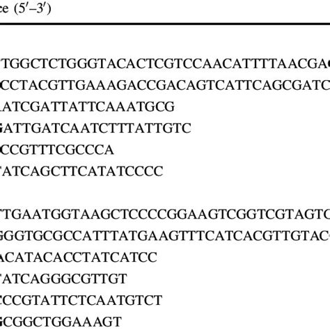 Lamp Primers Used In This Study Download Table