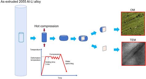The Diagrammatic Sketch Of The Experimental Procedure Download
