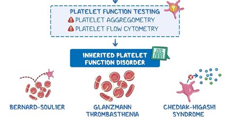 Approach To Bleeding Disorders Platelet Dysfunction Video And Meaning Osmosis