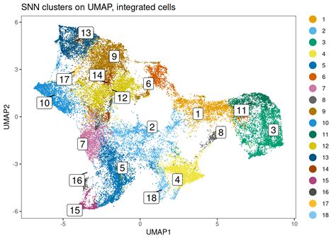 9 Cell Phenotyping Analysis Workflow For Imc Data
