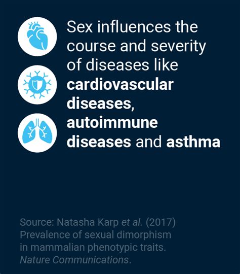 Study Reveals How Sex Blindspot Could Misdirect Medical Research