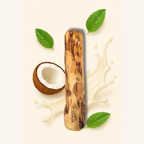 Guia Completo Sobre Pododermatite Em Cães Causas Sintomas E Tratamentos