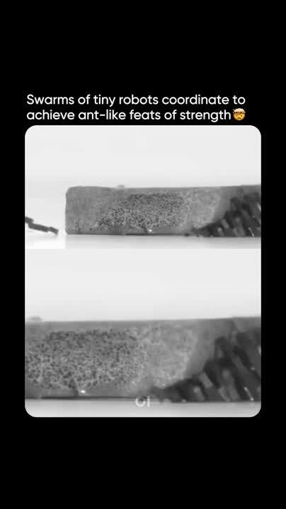 Supriya Rathi On Linkedin Research Paper Authors