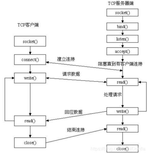 Python Socketsocket函数 套接字详解及tcp、udp程序示例（粘包等） Csdn博客