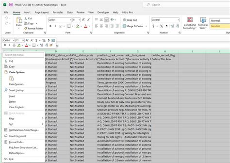 Detecting And Fixing Dangling Activities In Primavera P6 Time Schedule