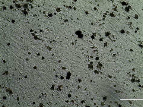 40 Questions With Answers In Granular Materials Science Topic