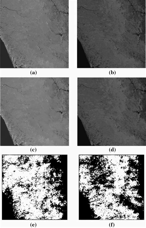 Experimental Results A Input Image 1 B Input Image 2 C Filtered Download Scientific Diagram