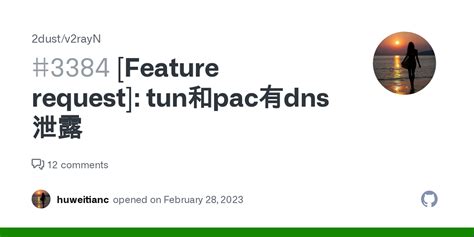 Feature request tun和pac有dns泄露 Issue dust v rayN GitHub