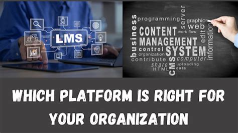 Choose Whether Lms Or Cms Is The Best For Your Online Business