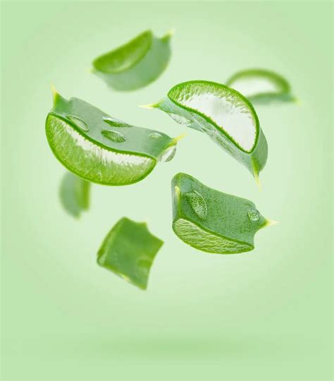 Propiedades Del Aloe Vera Cuida Tu Piel Laboncler