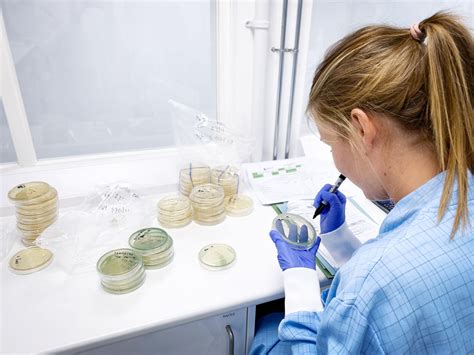 Gmp Microbial Limit Testing Mlt At Tentamus Pharma Uk