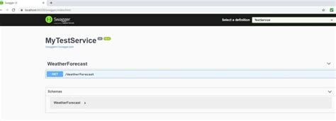 resolved typeloadexception could not load type microsoft aspnetcore