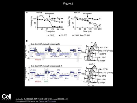 Volume 23 Issue 6 Pages September 2006 Ppt Download