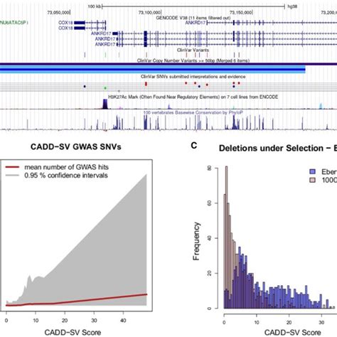 Prioritizing Functional Variants With Cadd Sv A Screenshot Of Ucsc Download Scientific