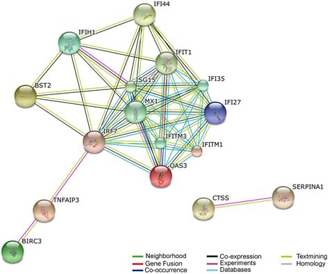 Predicted Interaction Networks Of Genes Differentially Expressed During