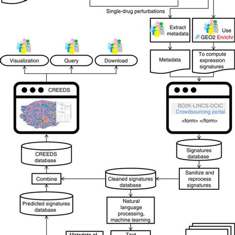 Batch Effect Correction Influence On The Quality Of Gene Expression