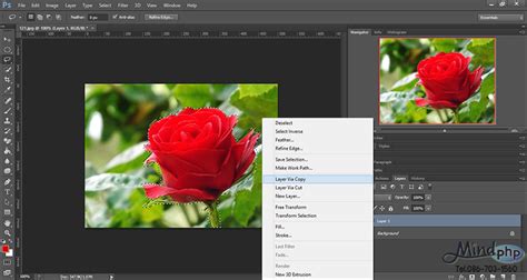 วิธีทำภาพพื้นหลังให้โปร่งใสด้วย Photoshop Cs6 เว็บบอร์ด Php เว็บส่งเสริมการเรียนรู้ Hosting