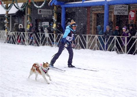 Katie Lindquist Bio The Nordic Link