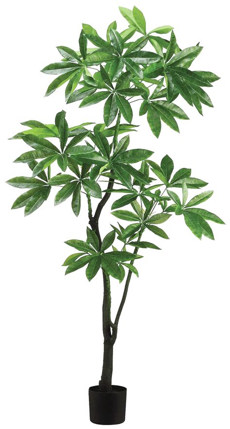 Property Invest Group