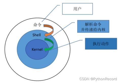 Shell学习 基础shell执行shell脚本加 P传参数 Csdn博客