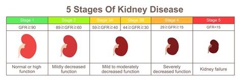 Lab Values My Ct Registry Review