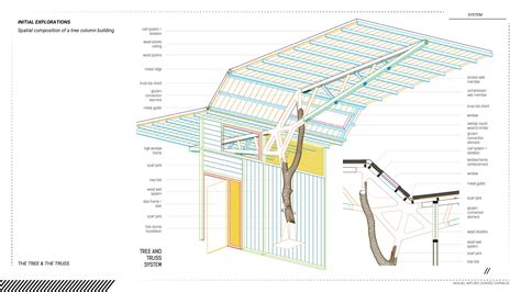 Wood Structure Tree Diagram